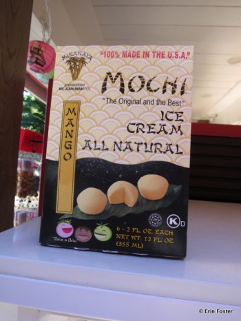 Snack Series: Meet Mochi in Japan | the disney food blog