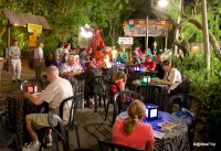 Guest Review: Harambe Nights at Disney's Animal Kingdom | the disney ...