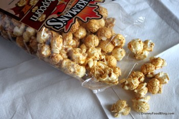 The Ultimate Disney World Popcorn Guide | the disney food blog