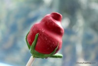 Beauty and the Beast Treat: Enchanted Rose Cake Pop | the disney food blog