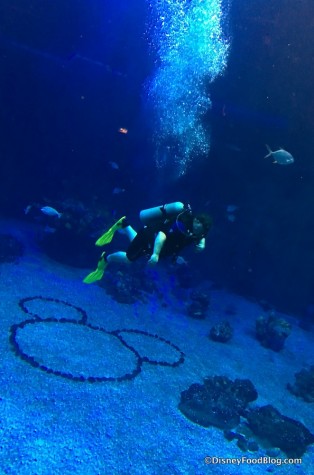 We'd Be Shocked if You Knew All 25 of These Hidden Secrets in EPCOT ...