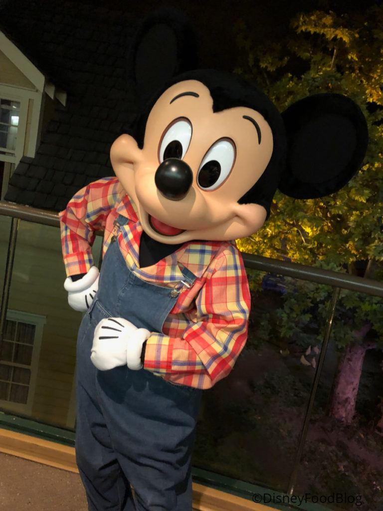 Review: Dinner with a View at Epcot's Garden Grill! | the disney food blog