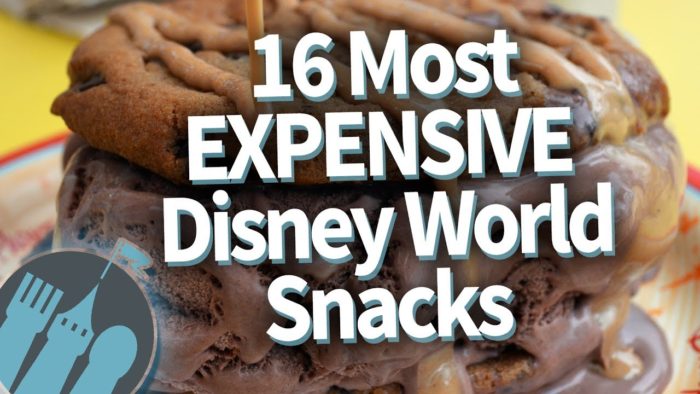 DFB Video: The 16 Most Expensive Disney World Snacks | the disney food ...