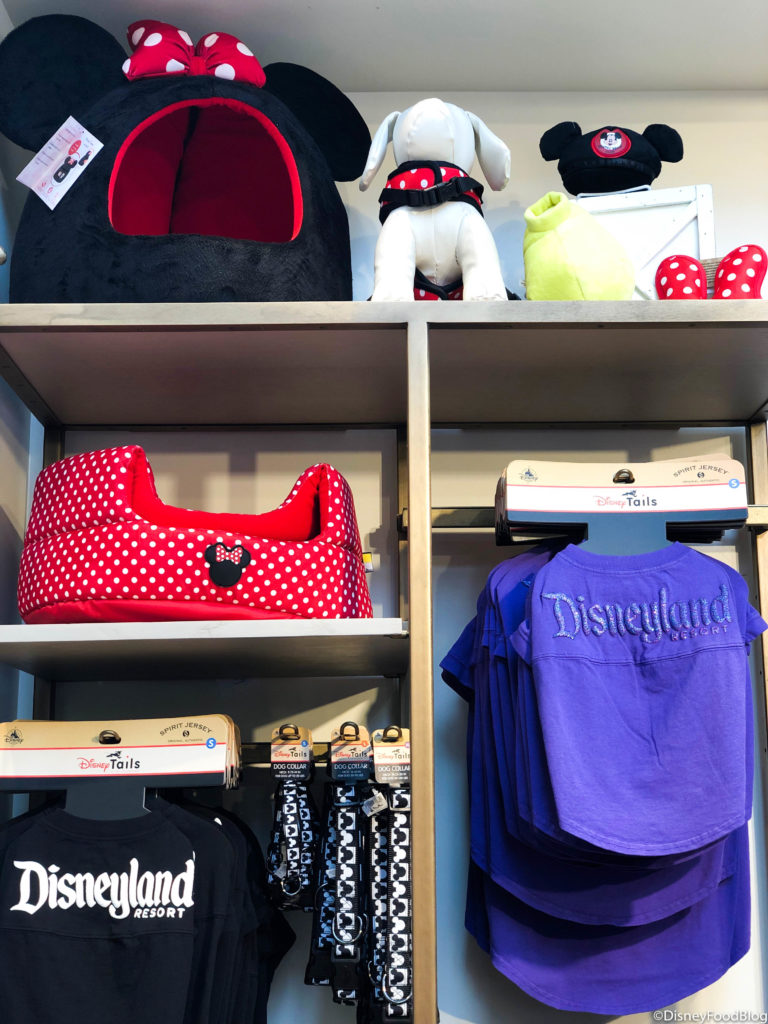 Fido Wants a Spirit Jersey, Too! Pet Spirit Jerseys Debut in Disney ...