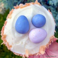 REVIEW and PHOTOS! New Robin Eggs Cupcakes at Sprinkles in Disney World ...