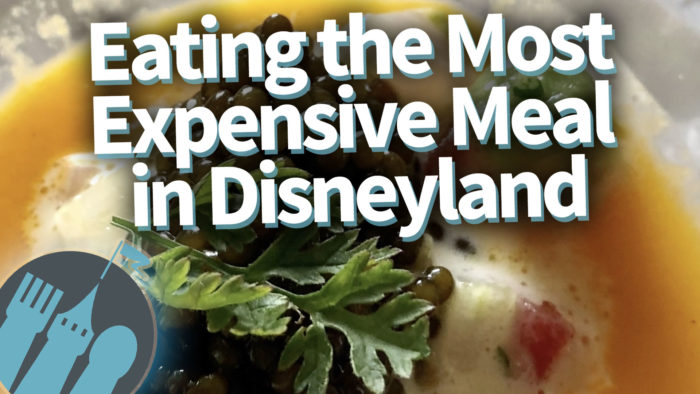 DFB Video: Eating the Most Expensive Meal in Disneyland | the disney ...