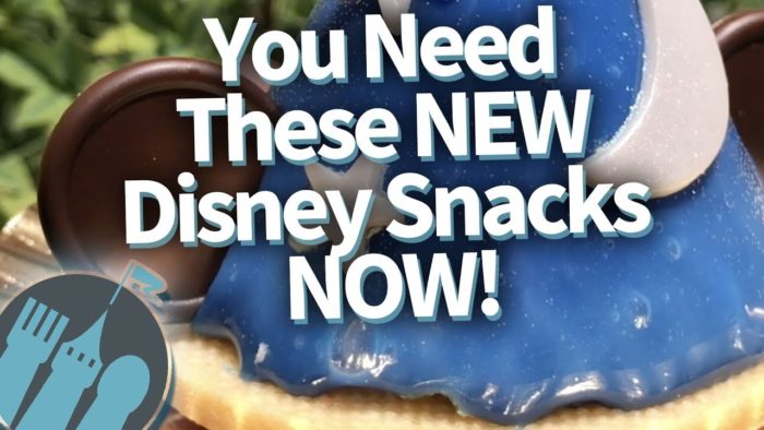DFB Video: You Need These NEW Disney Snacks NOW! | the disney food blog
