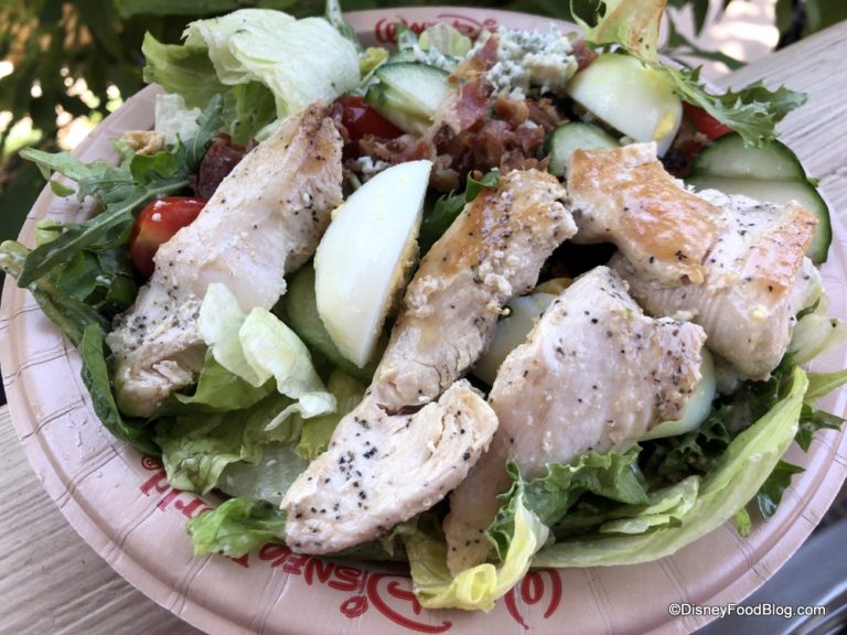 Pics and Review! New Menu Items at Restaurantosaurus in Disney's Animal ...