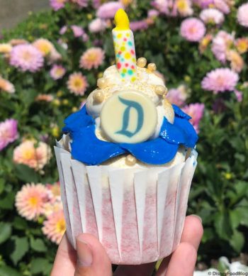 REVIEW: Make a Wish with the NEW Disneyland Birthday Cupcake | the ...