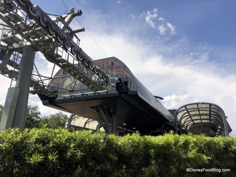 Disney World Skyliner Gondola PRO TIPS: Here's What You Need To Know ...