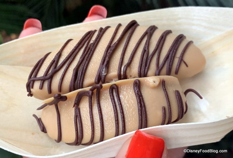 FULL REVIEW: Circle of Flavors: Harambe at Night at Disney's Animal ...