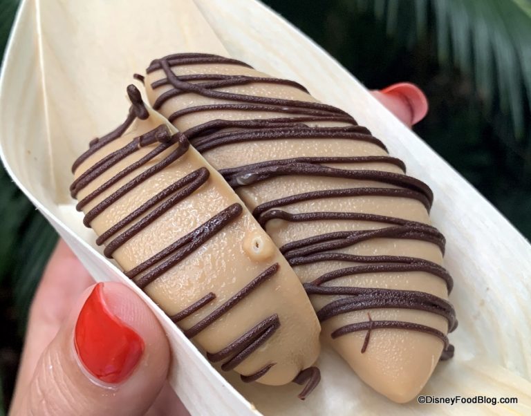 FULL REVIEW: Circle of Flavors: Harambe at Night at Disney's Animal ...