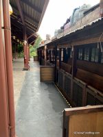 FULL REVIEW: Circle of Flavors: Harambe at Night at Disney's Animal ...