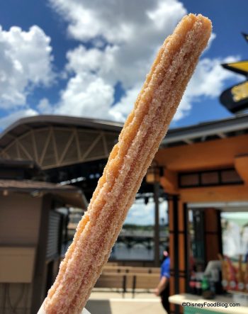 First Look and Review! Sunshine Churros in Disney Springs! | the disney ...