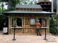 What's New in Animal Kingdom — Construction, Brownies, and an ADORABLE ...
