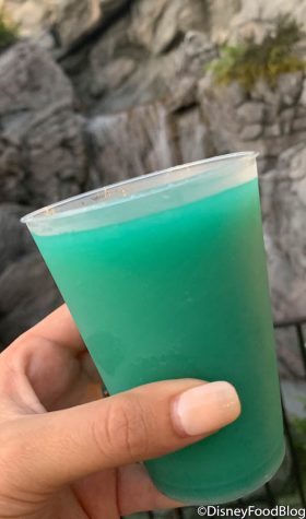 REVIEW: Chill Out With the NEW Frozen Arendelle Aqua Lemonade in Disney ...