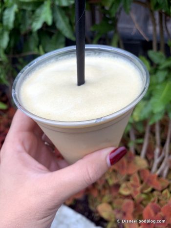 You're GONNA NEED to see THIS Hennessy-Spiked Dole Whip REVIEW!!! | the ...