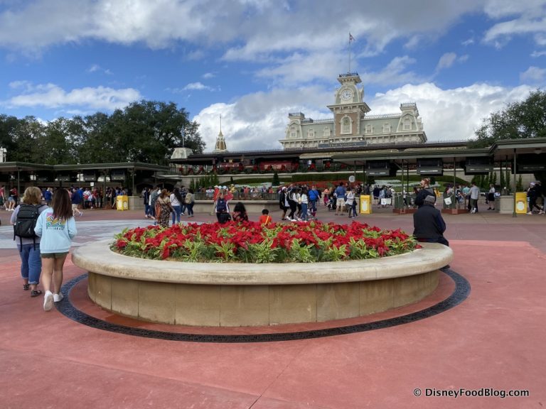 There's Another BIG Round of Construction Coming to World Drive in ...