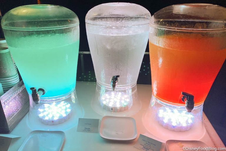 REVIEW! Is Epcot's Frozen Ever After Dessert Party Worth Its $100 Price ...