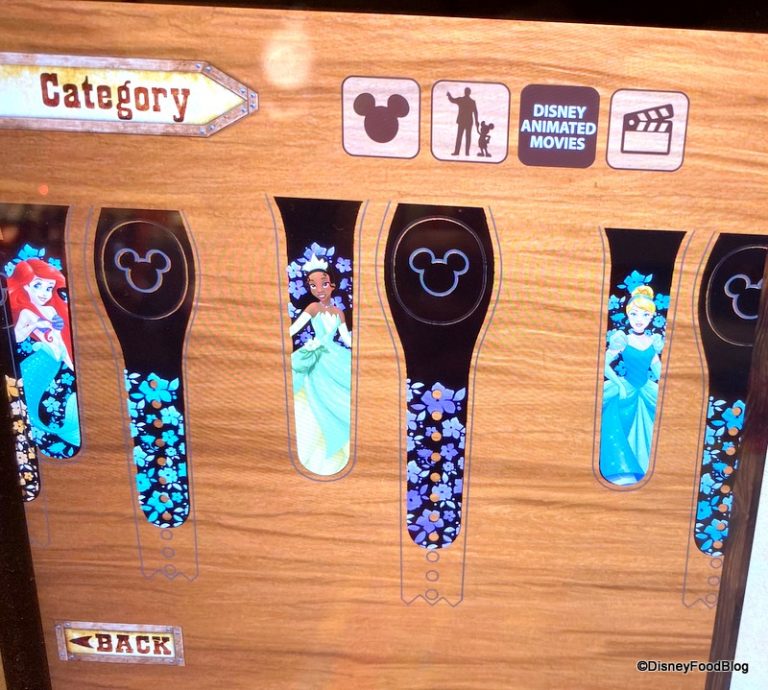 10 Things You Can Personalize with Your Name in Disney World! | the ...