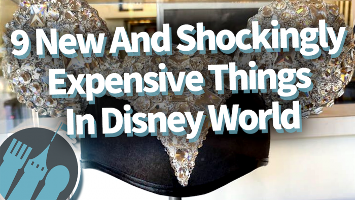 DFB Video: 9 New and Shockingly Expensive Things in Disney World! | the ...