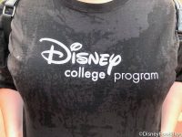 NEWS: The Disney College Program Is Officially Returning! | the disney ...