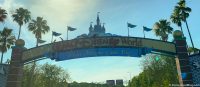 Hello? Is Anybody There? Drive Around a Closed Disney World Resort With ...