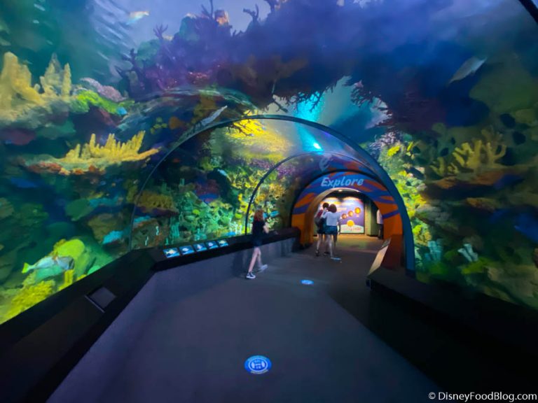 NEWS: SeaWorld Orlando Hints at Potential Expansion | the disney food blog