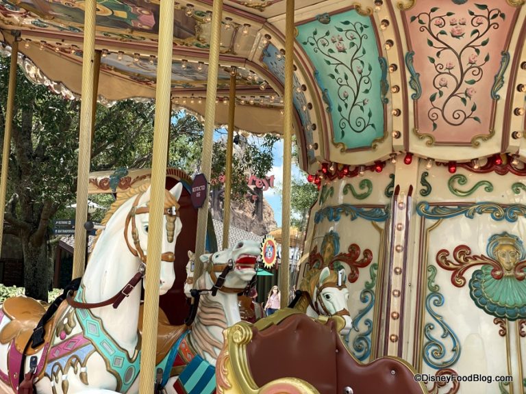 An ACTUAL RIDE Is Open in Walt Disney World Today! | the disney food blog