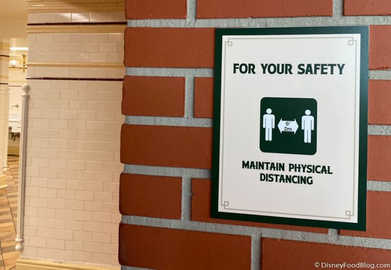 The 10 Best Ways to Be Extra Careful in Disney World Right Now. | the ...