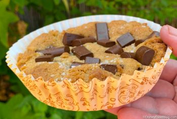 How-To PHOTOS! Disney Copycat Num Num Cookie Recipe! | the disney food blog