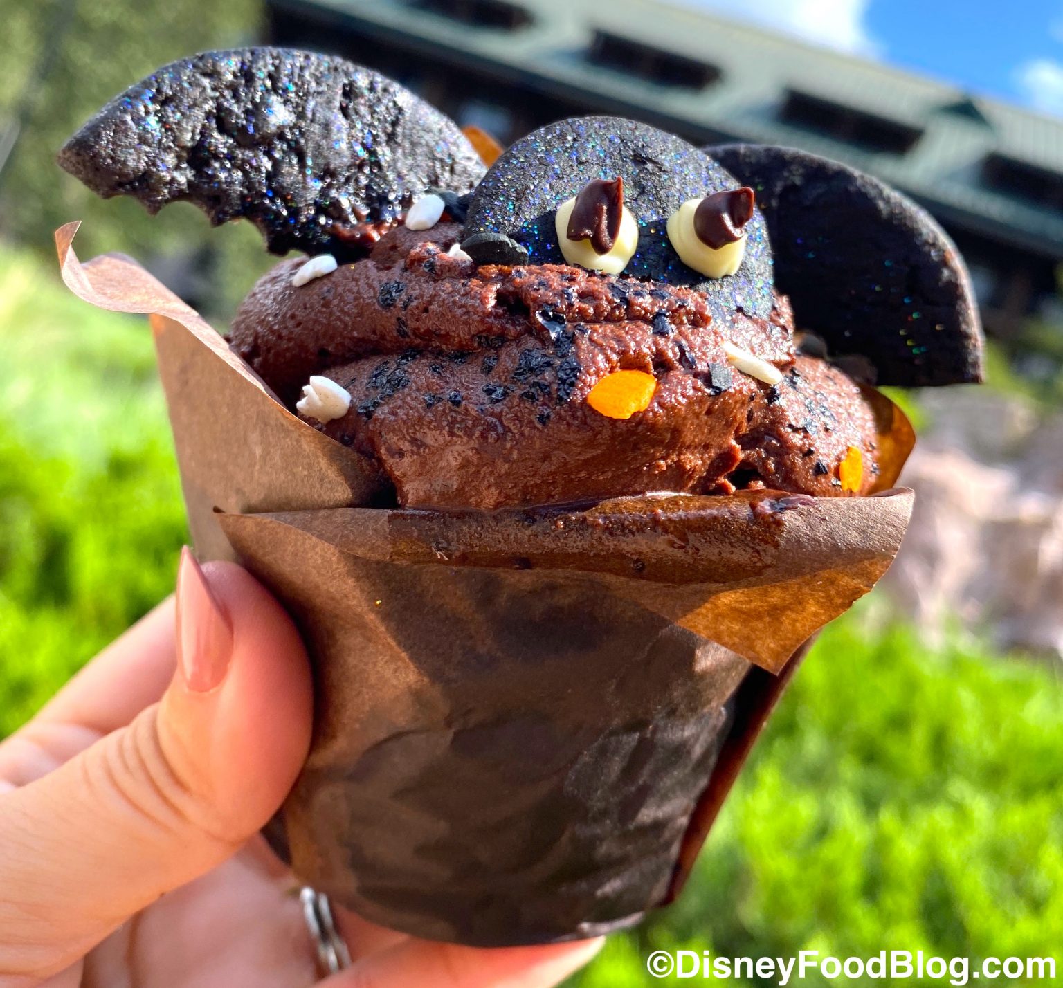 Review! This Halloween Cupcake Isn't Winning Any Beauty Pageants, But ...