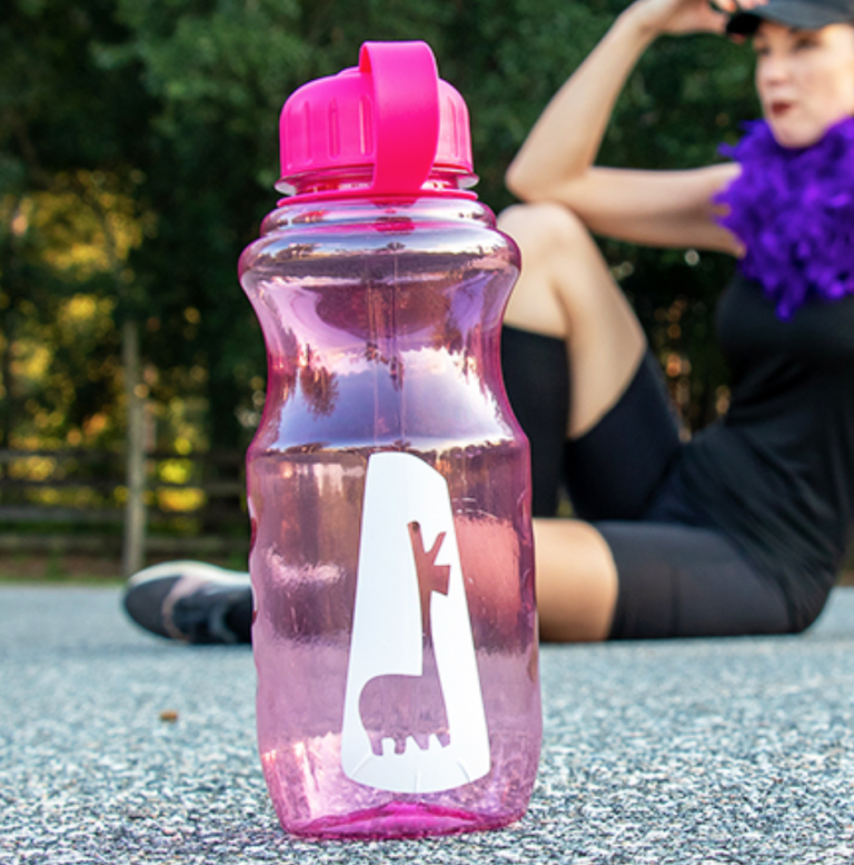 Create an ‘Emperor’s New Groove’ Llama Potion Water Bottle With a ...
