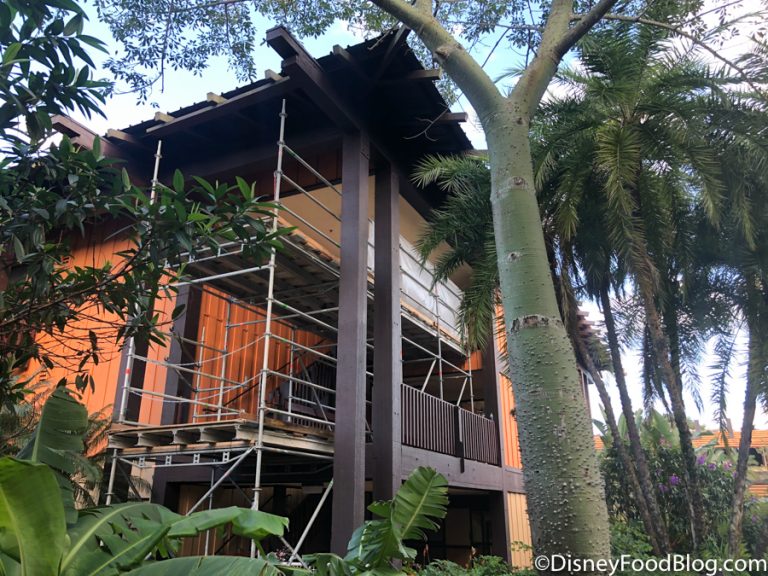 PHOTOS: The Moana-Inspired Renovation Pushes Forward at Disney’s ...