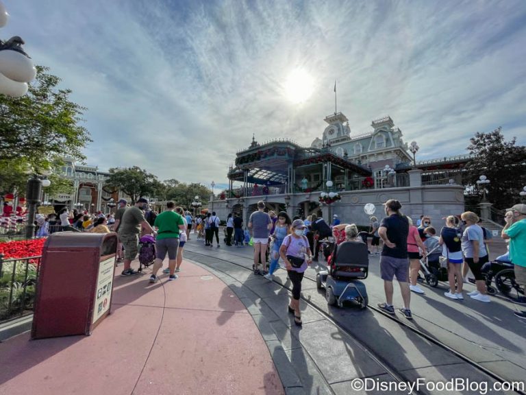 Photos and Videos! Disney World Is at CAPACITY Today — Check Out the ...