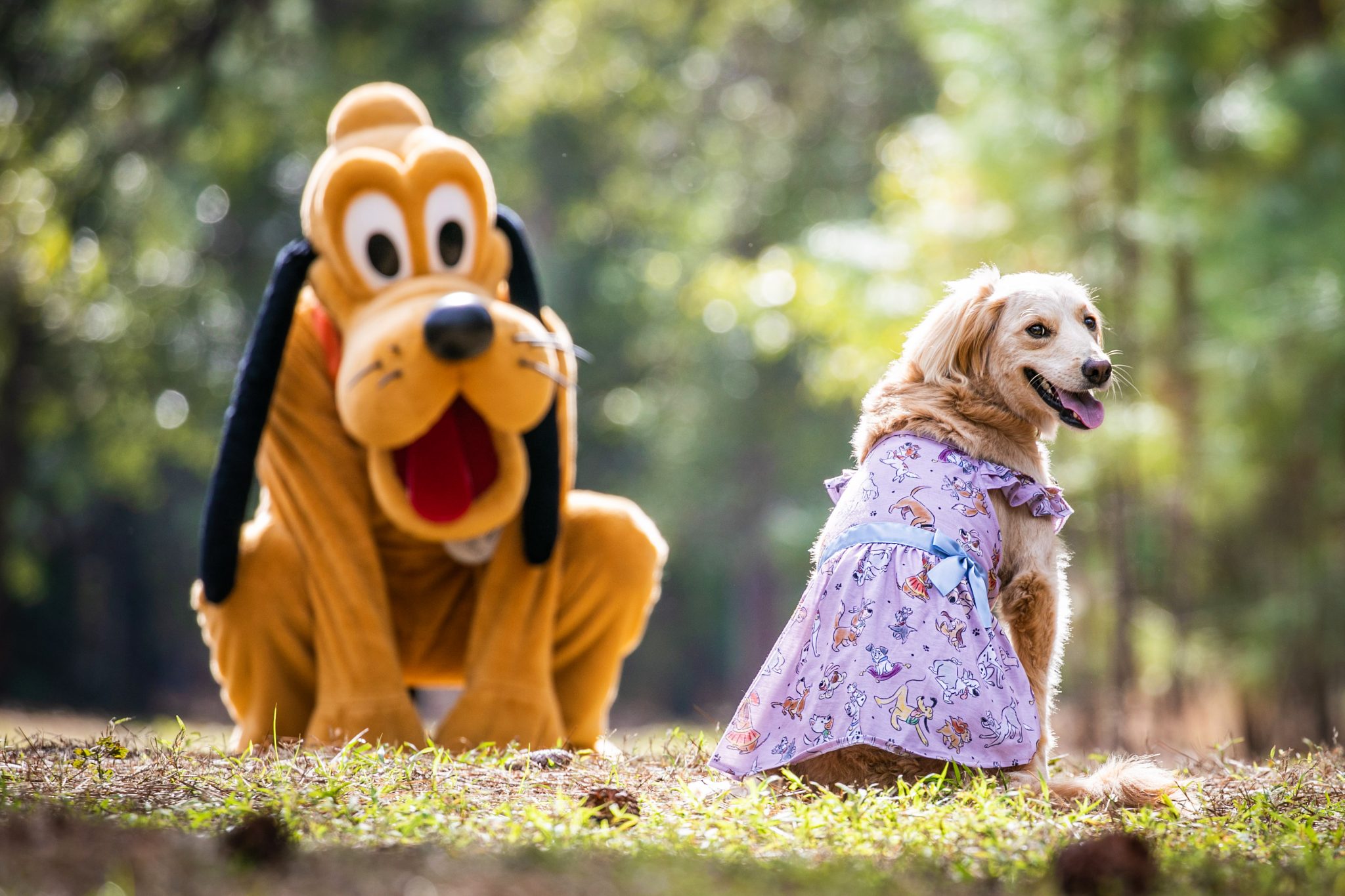 Disney's New Cats and Dogs Collection Has Arrived Online! | the disney ...