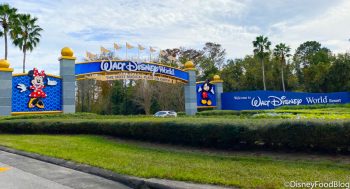 PHOTOS! Take a Look at a Completed Reimagined Walt Disney World ...