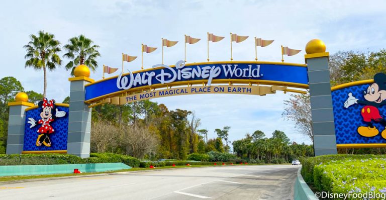 PHOTOS! Take a Look at a Completed Reimagined Walt Disney World ...