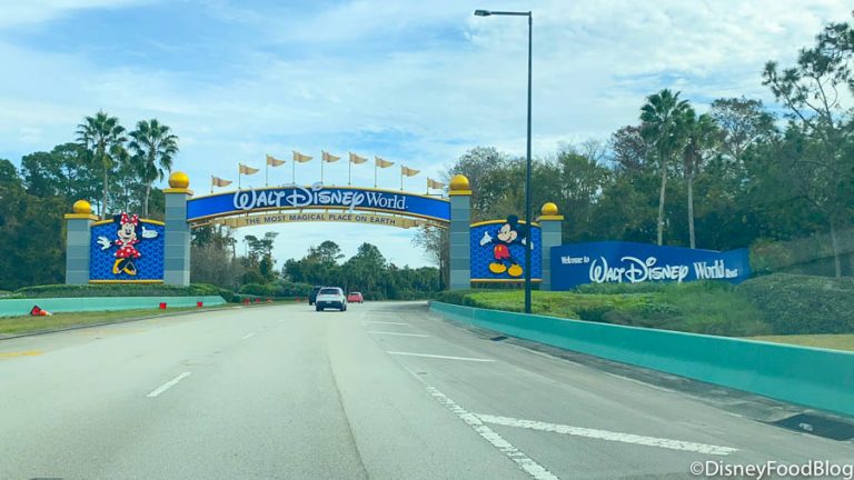 PHOTOS! Take a Look at a Completed Reimagined Walt Disney World ...