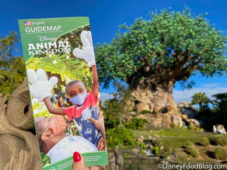 20 Photos and Videos From Our Day at Disney's Animal Kingdom and Magic ...