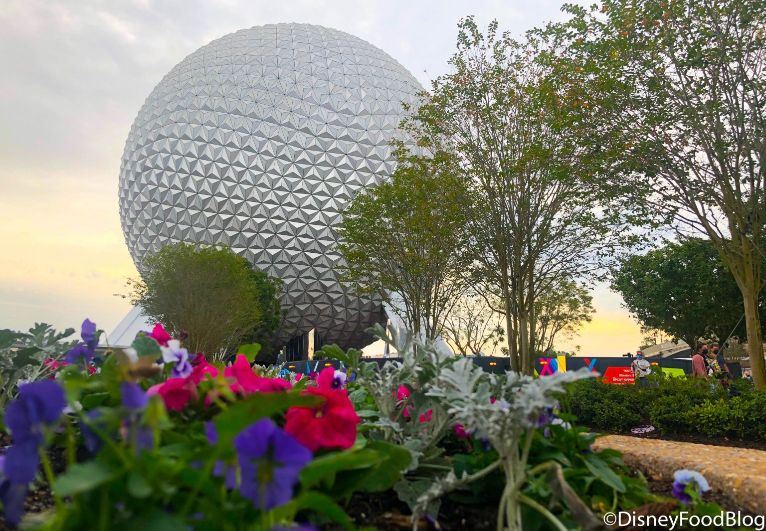Our FREE Gift to YOU! 29 Disney World Wallpapers From DFB! | the disney ...
