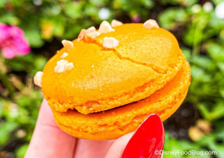 PSST: Did You Know You Can Buy Individual Macarons at Disney World ...