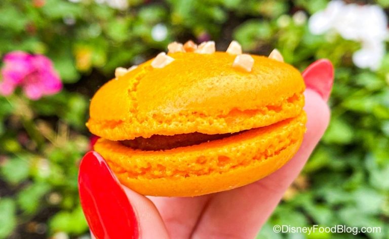 PSST: Did You Know You Can Buy Individual Macarons at Disney World ...