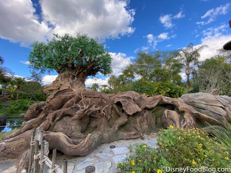 DFB Video: The Ultimate Guide to Disneys Animal Kingdom in 2021 | the ...