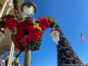 The Differences Between Disney World's Very Merriest After Hours Event ...