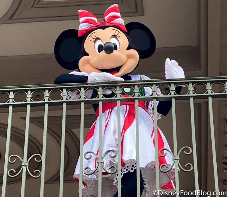 8 WEIRD Disney World Rules and Why They Exist | the disney food blog