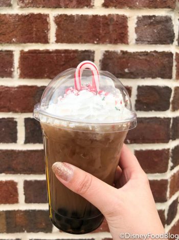 REVIEW: We Tried a Chocolate & Peppermint BOBA Drink in Disney World ...