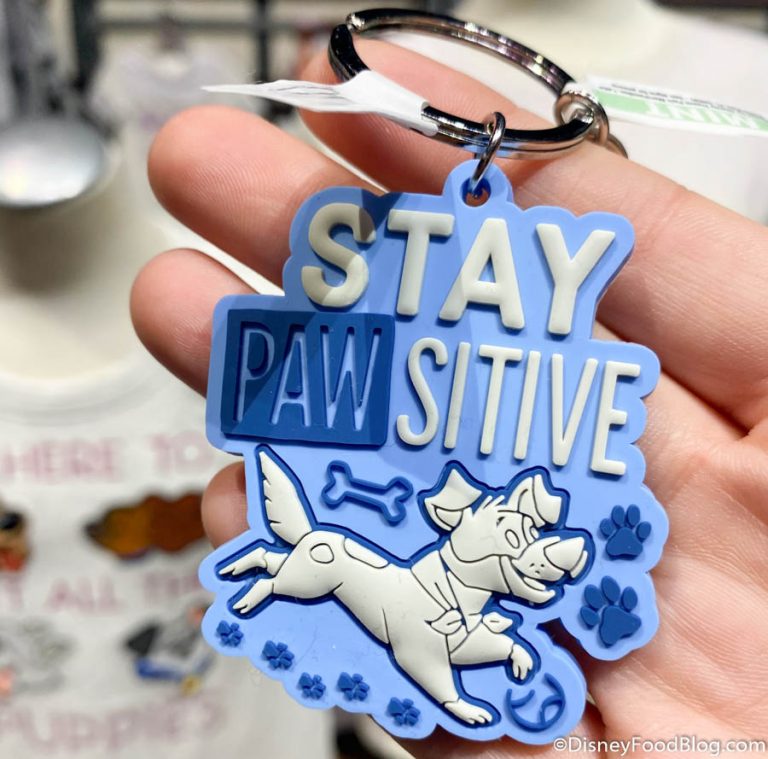 What's New in Downtown Disney: ALL the Cat and Dog Gear and a Christmas ...