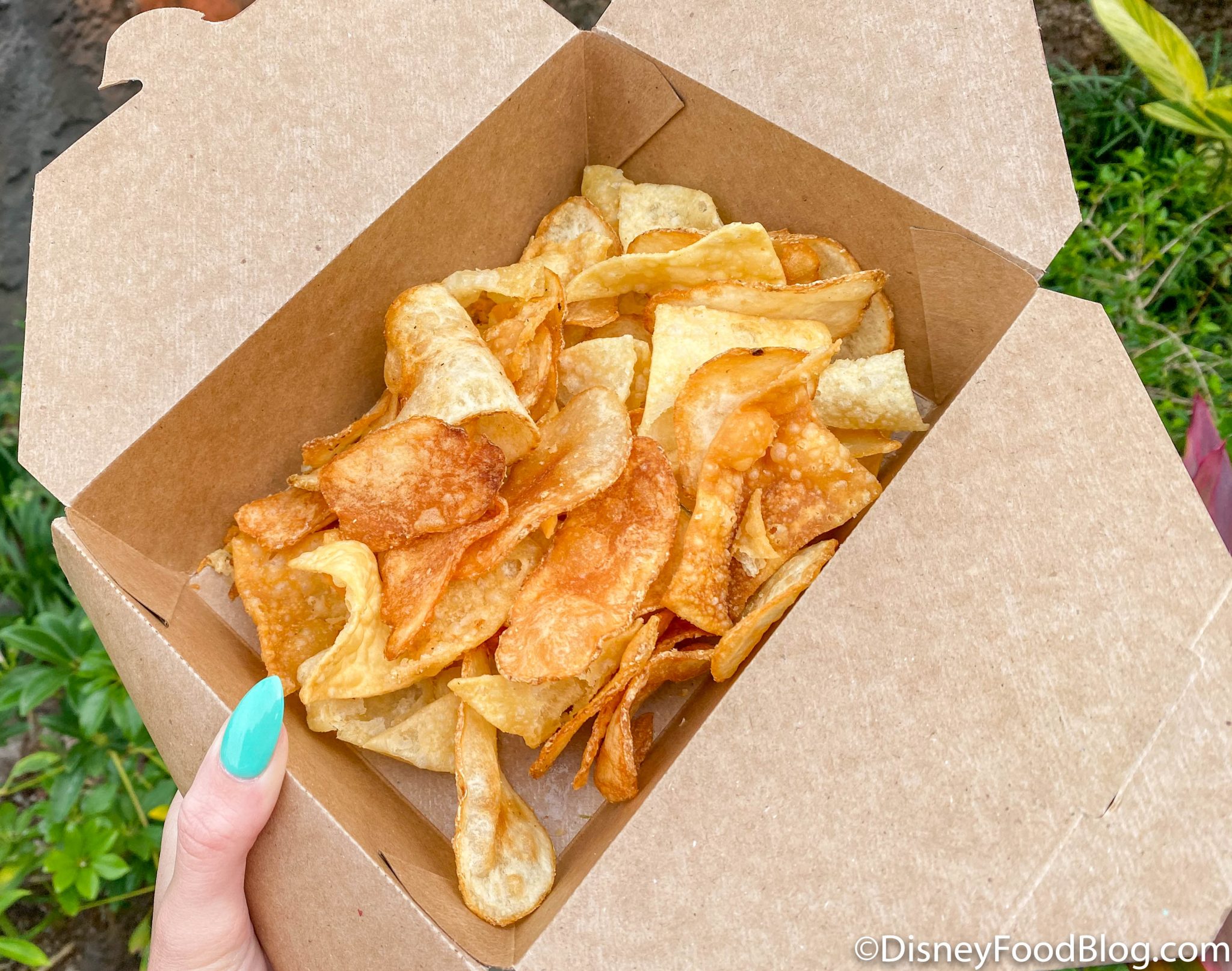These Fan-Favorite Chips Are Now Available on Their Own at Disney's ...