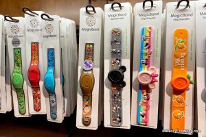 Wilderness Explorers! Check Out the New UP MagicBand in Disney World ...